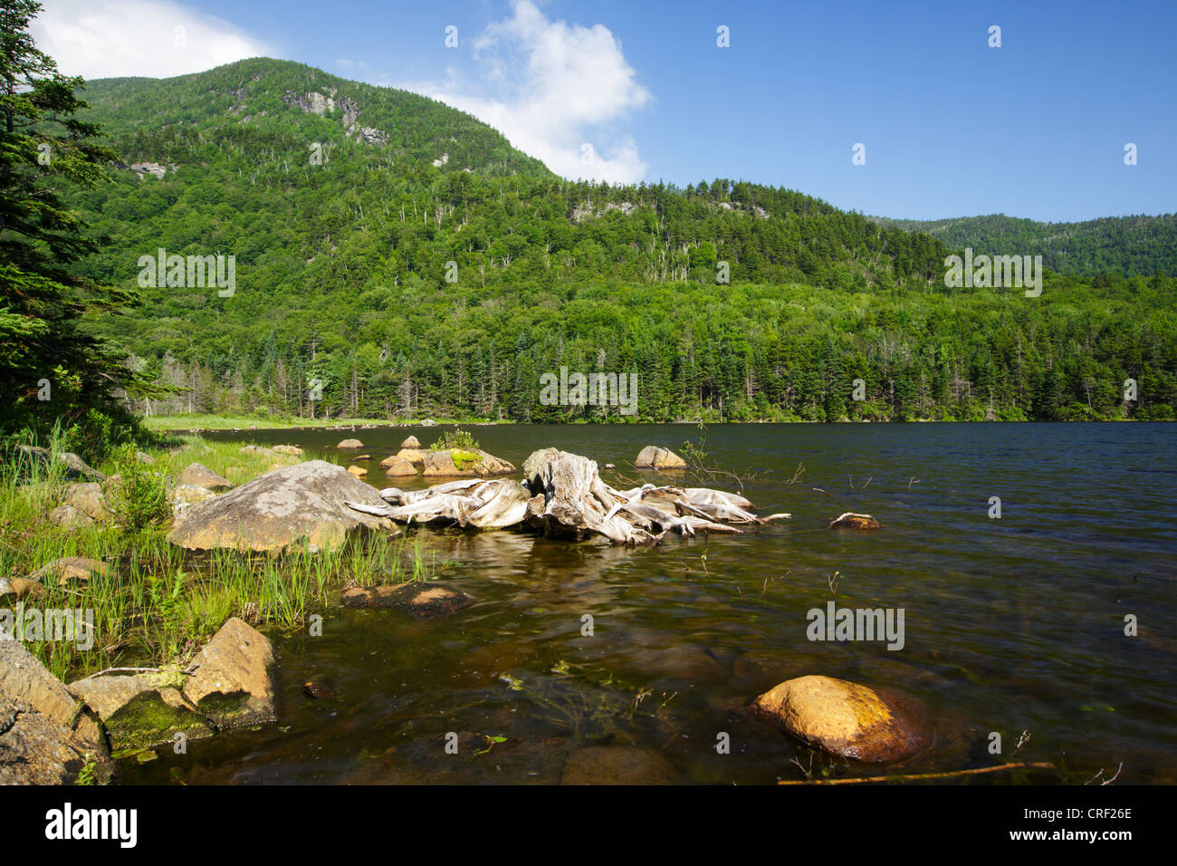 Kinsman Notch - Mount Blue from Beaver Pond in the White Mountains, New ...