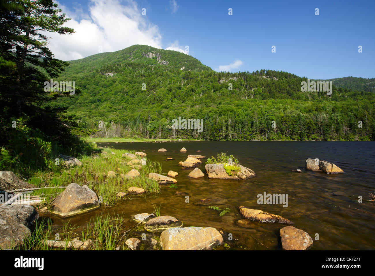 Kinsman Notch - Mount Blue from Beaver Pond in the White Mountains, New ...