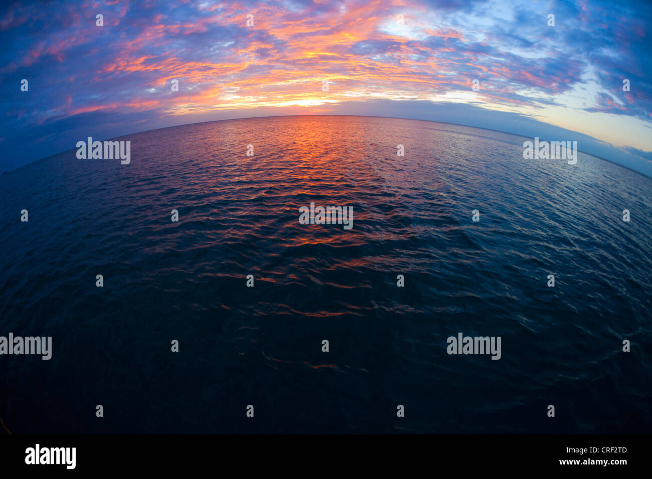 Wide Fisheye High Resolution Stock Photography and Images - Alamy