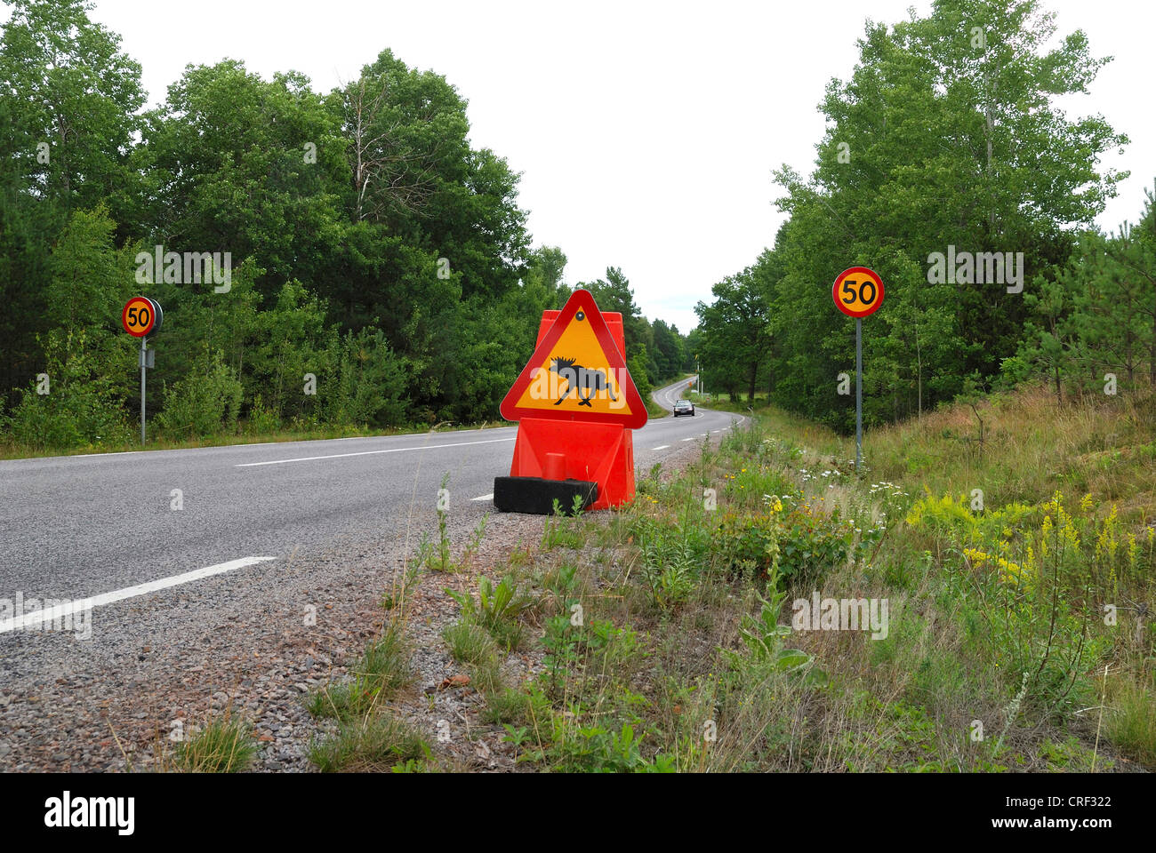 attention elk! danger sign on road, Sweden, Lofta Stock Photo - Alamy