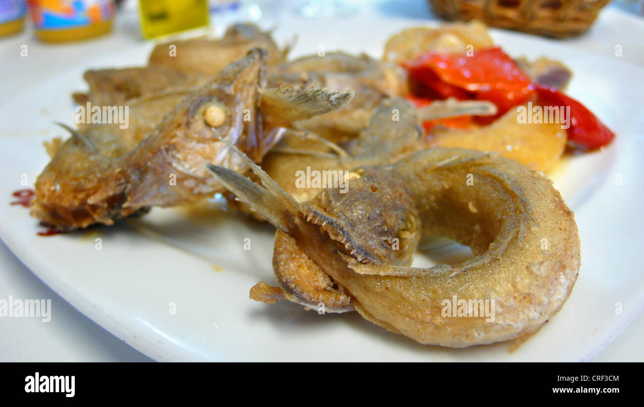 fish dish, delicacy from Mallorca, fishes bitting in fishtail, Balearen ...
