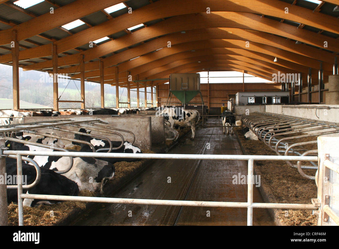 Modern stable with boxes hi-res stock photography and images - Alamy