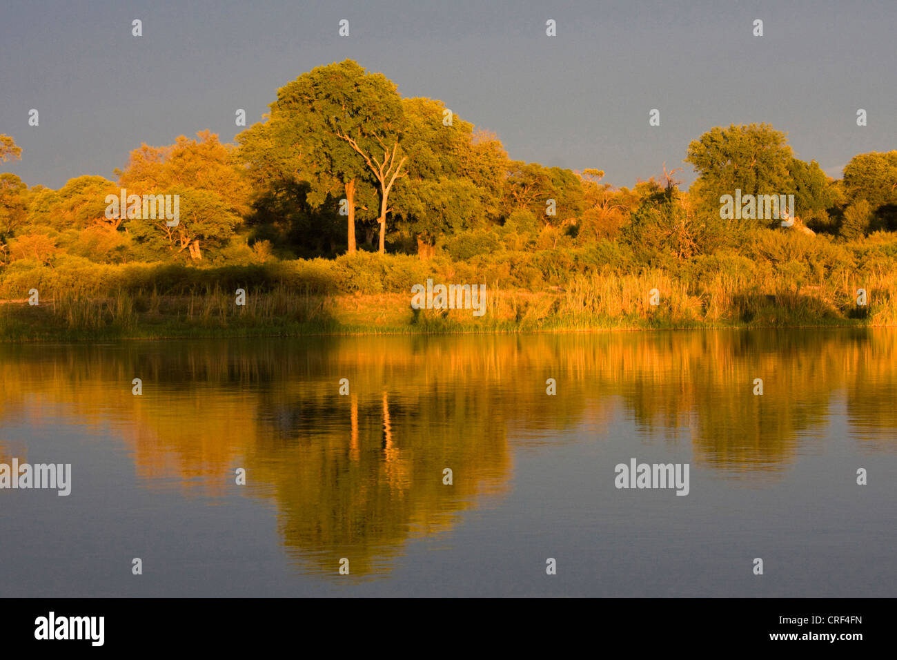 evening mood at Kavango River, Namibia, Caprivi, Am Kwando River Stock ...