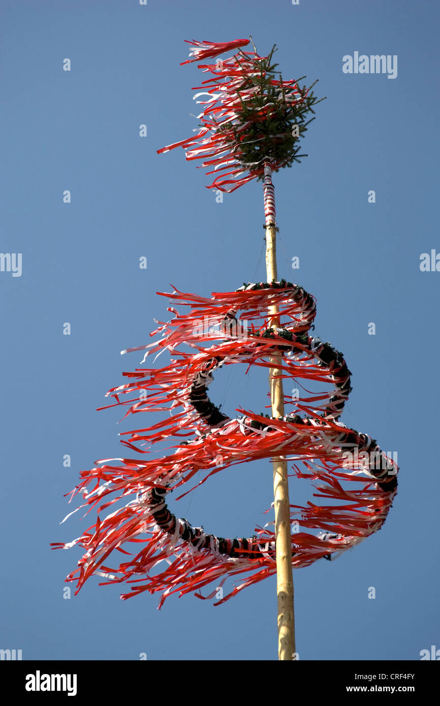 Decorated plant and ribbons hi-res stock photography and images - Alamy