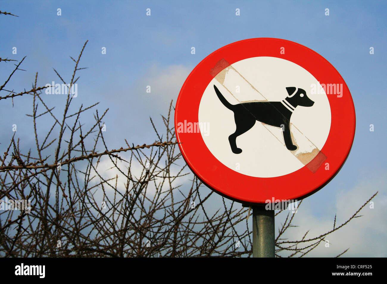 Pets prohibited hi-res stock photography and images - Alamy