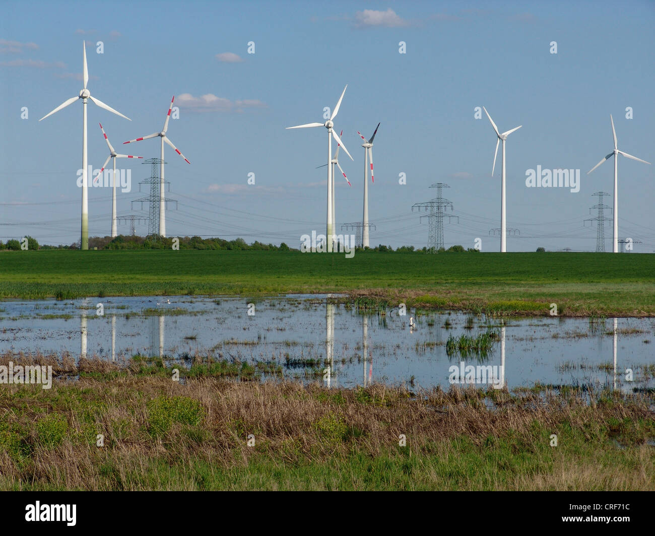 landscape with wind power station and lake, Germany, Brandenburg Stock ...