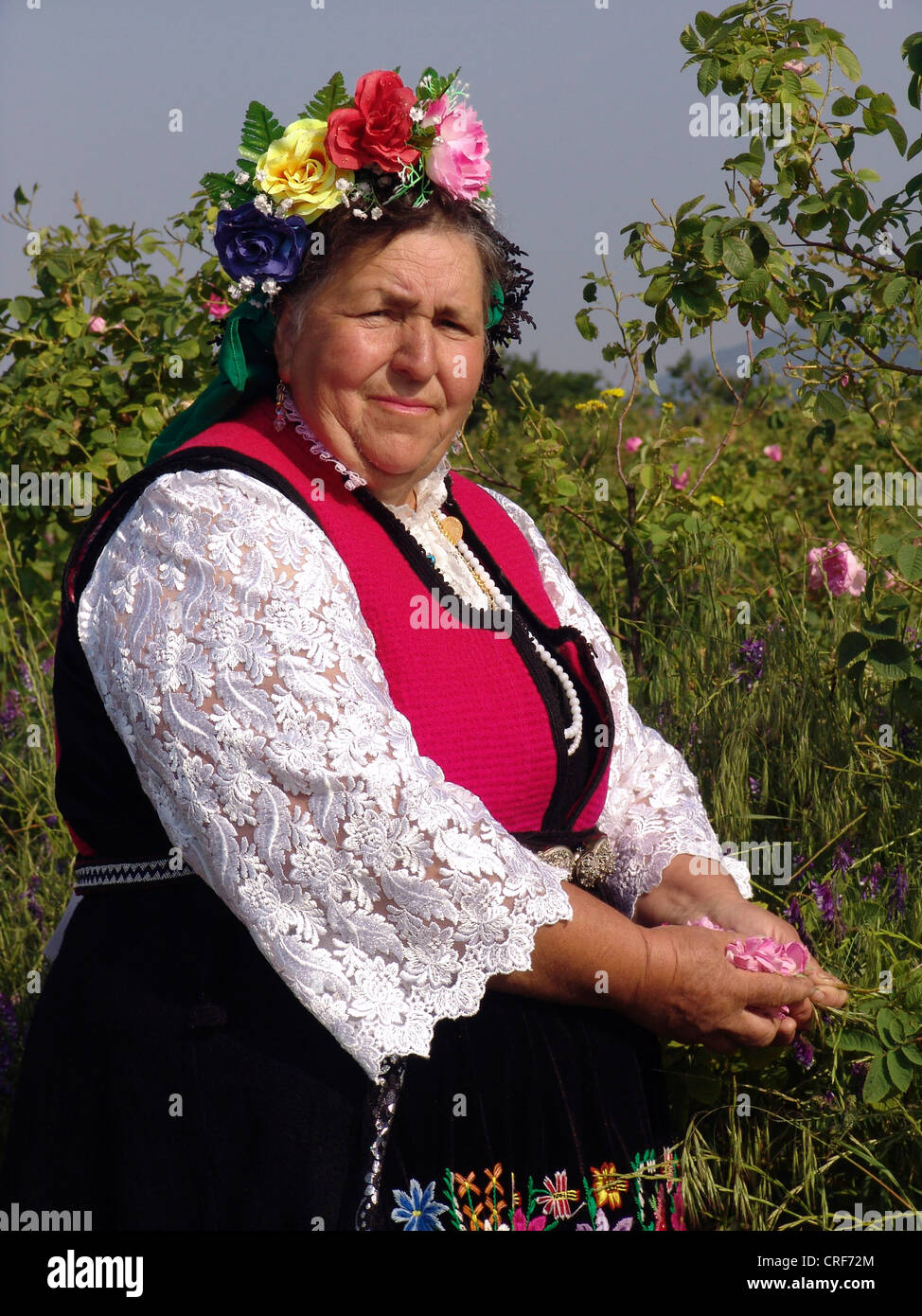 rose picker at the Rose Festival of Karlovo, Bulgaria Stock Photo - Alamy