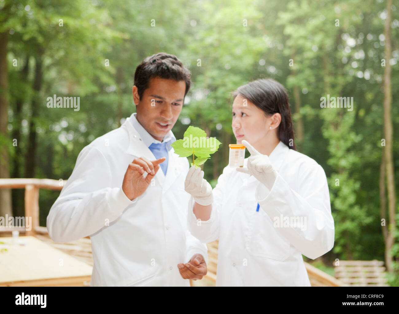 Scientist speaking colleague holding hi-res stock photography and ...