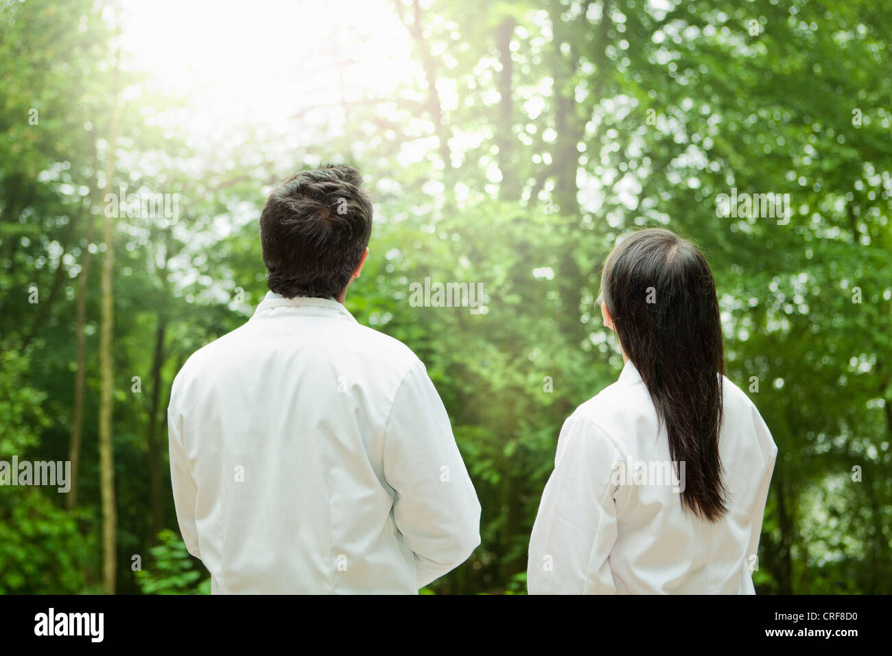 Asian scientist forest hi-res stock photography and images - Alamy
