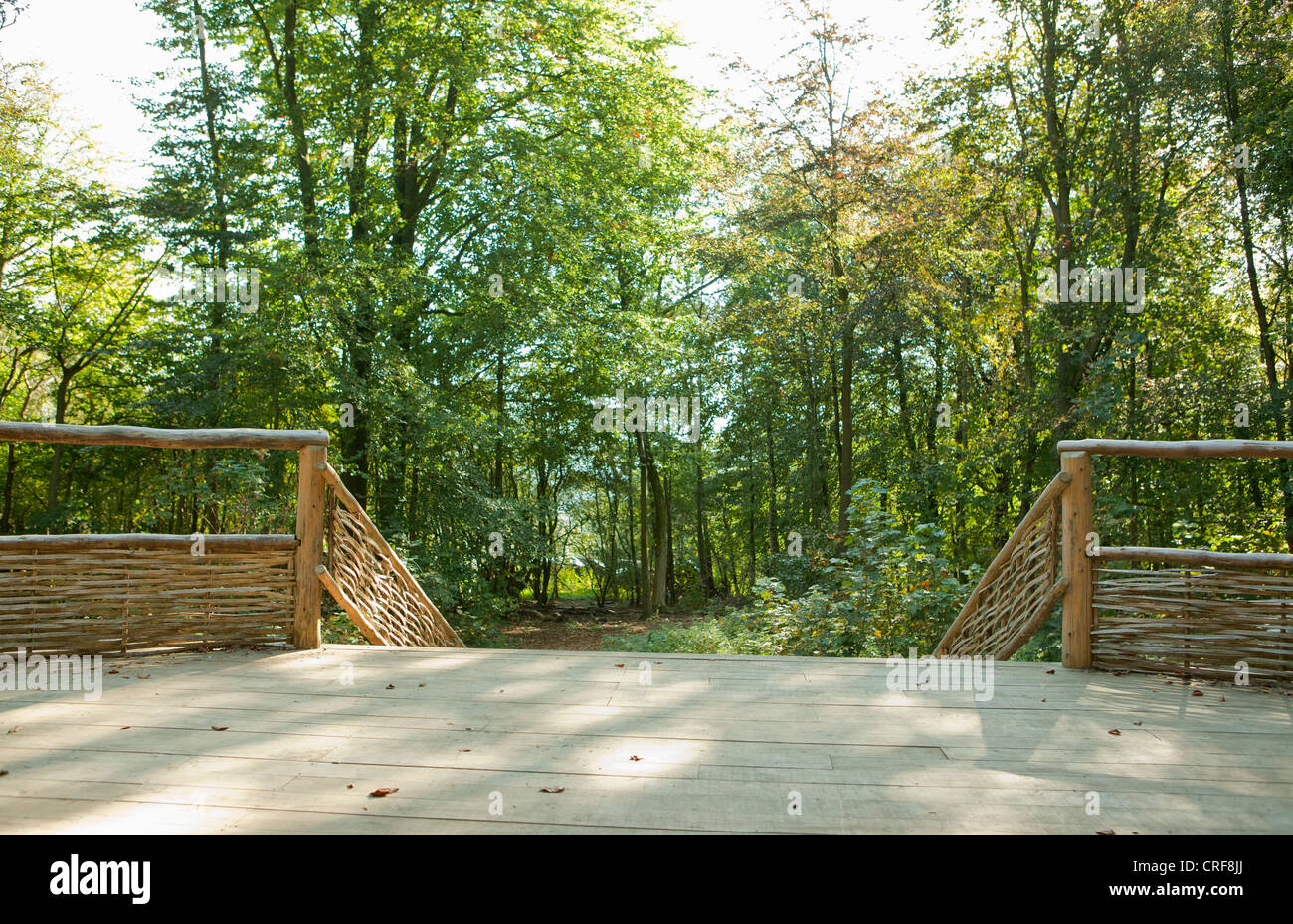 Wooden platform with steps in forest Stock Photo - Alamy