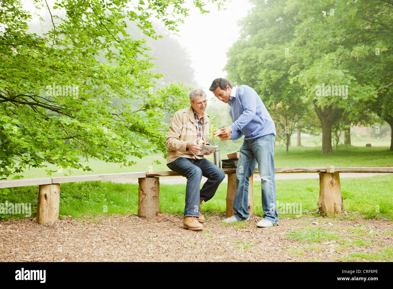 Men talking in park Stock Photo - Alamy