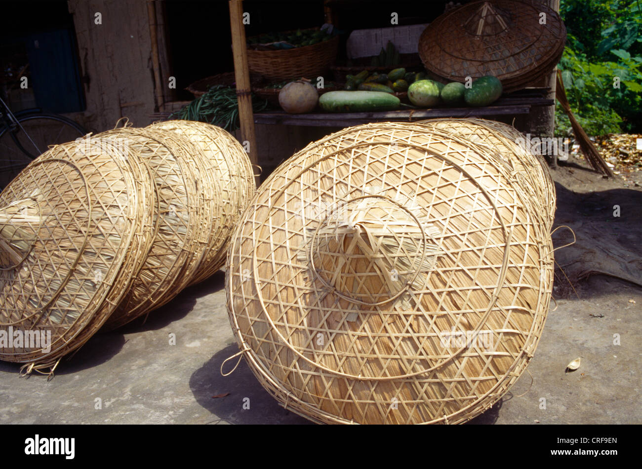 Japi Stock Photos & Japi Stock Images - Alamy