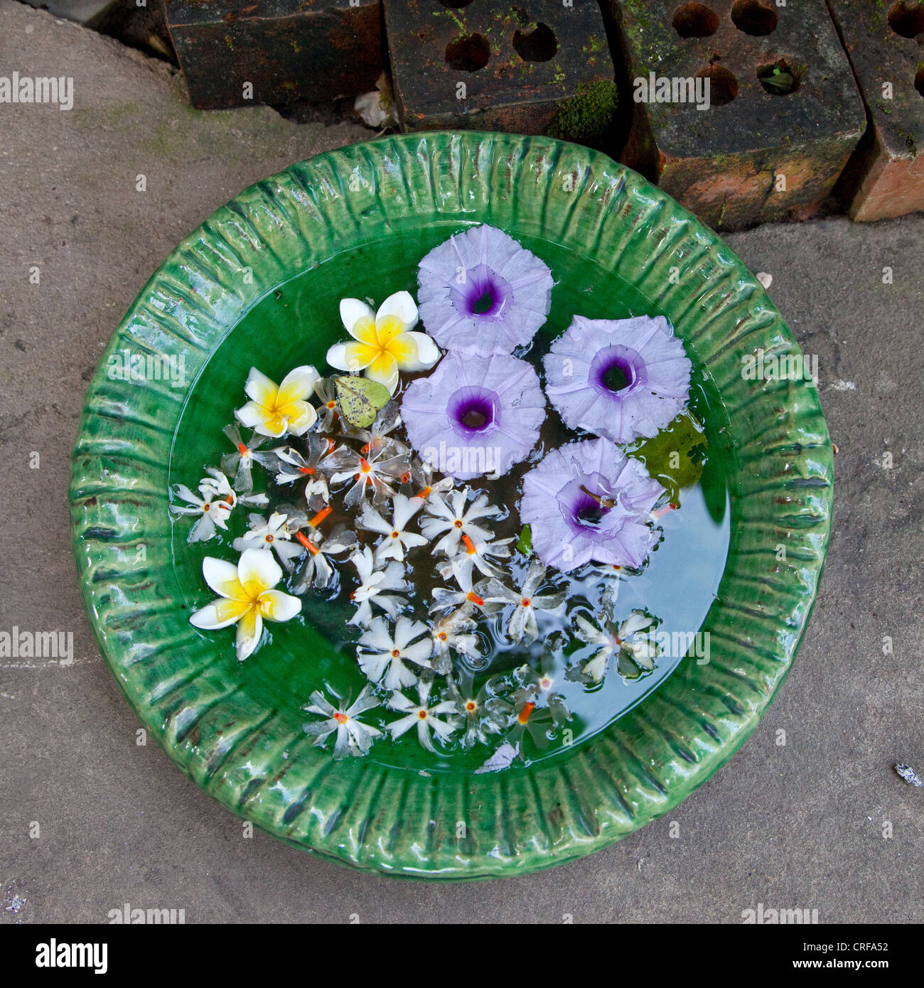 Myanmar flowers hi-res stock photography and images - Alamy