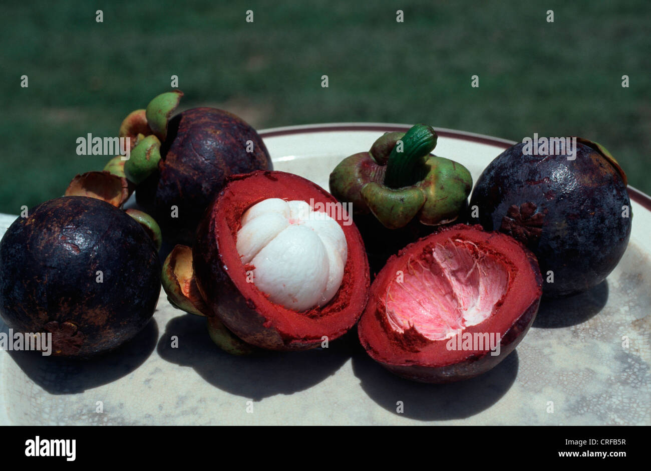 mangosteen fruit (Garcinia mangostana), fruits and opened fruits Stock ...