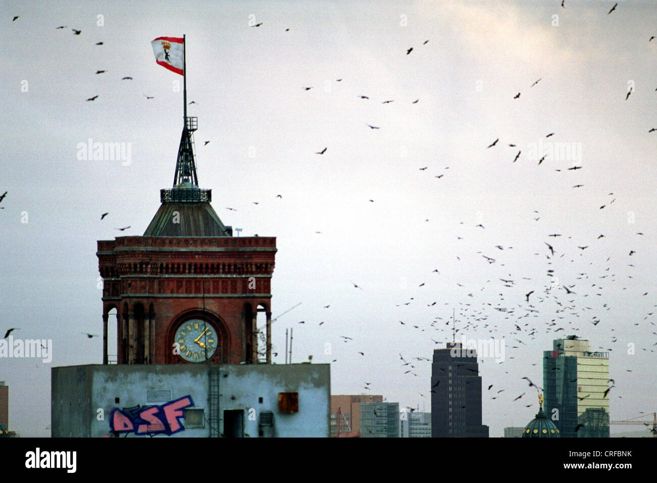 Berlin, Germany, swarm of crows flying over the Red Town Hall Stock ...