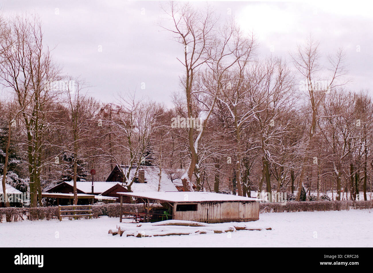 Bremen, Germany, winter landscape Stock Photo - Alamy