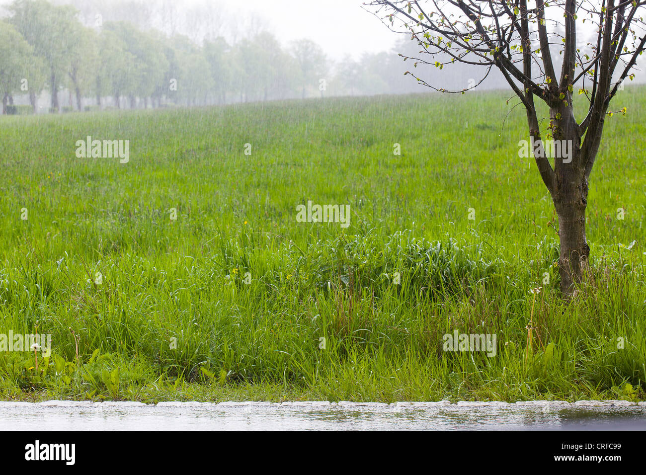 Raining weather hi-res stock photography and images - Alamy