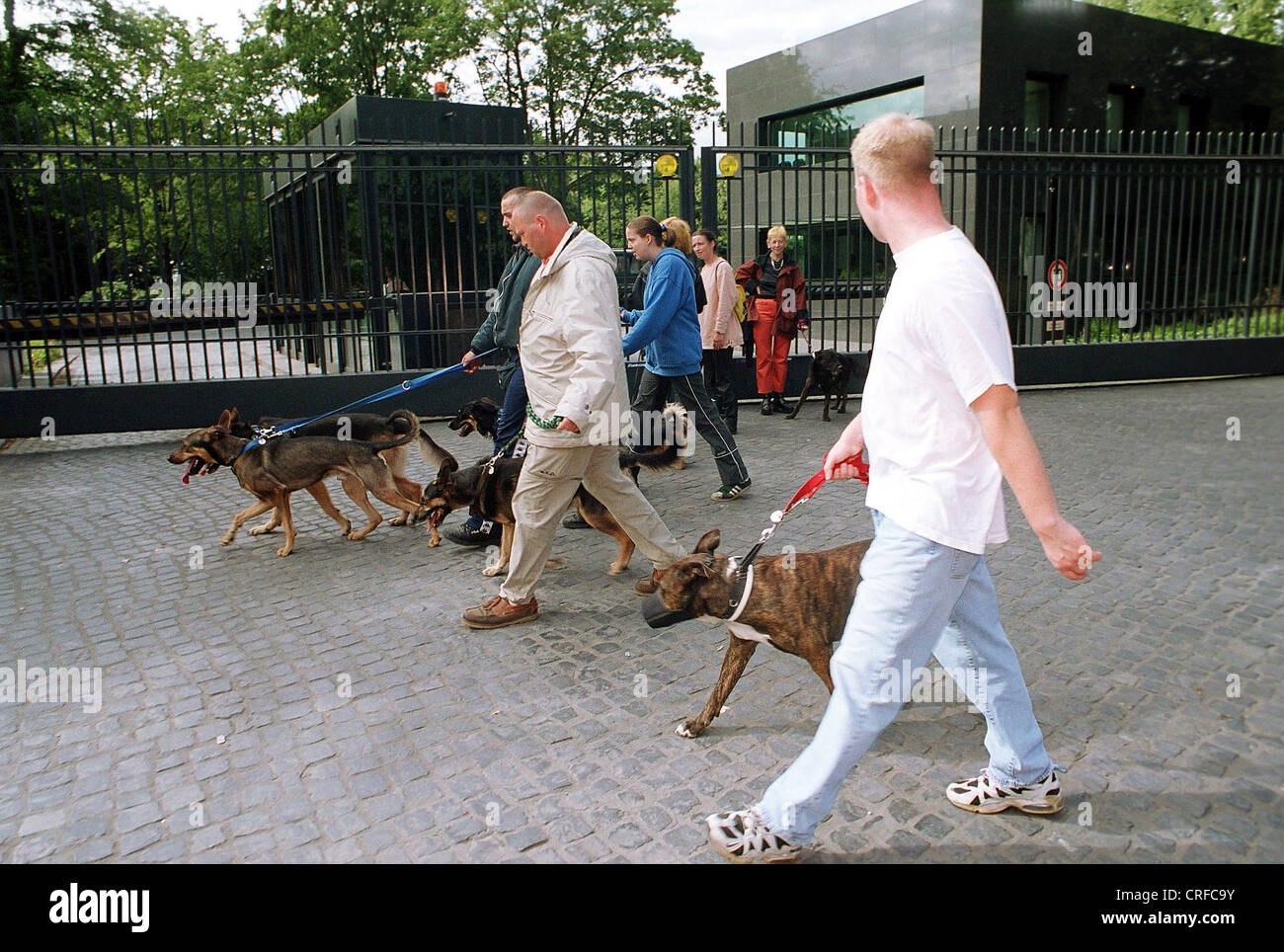 Group of dogs before Plötzensee prison, Berlin, Germany Stock Photo - Alamy