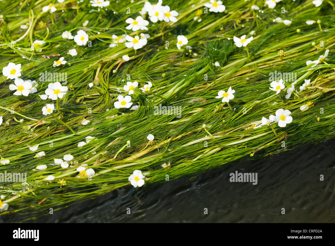 Chassepierre High Resolution Stock Photography and Images - Alamy