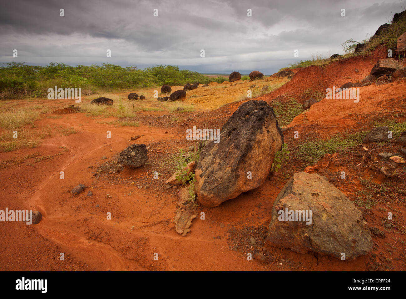 Parque nacional sarigua panama hi-res stock photography and images - Alamy