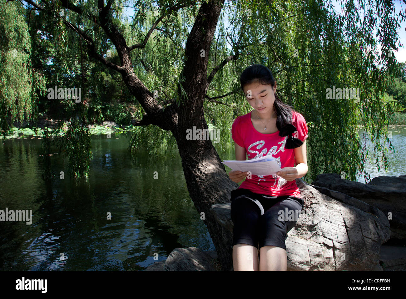 Students studying under tree hi-res stock photography and images - Alamy