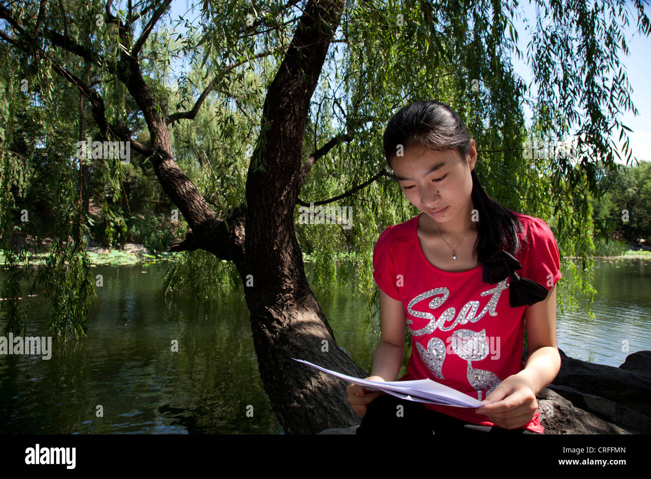 Students studying under tree hi-res stock photography and images - Alamy