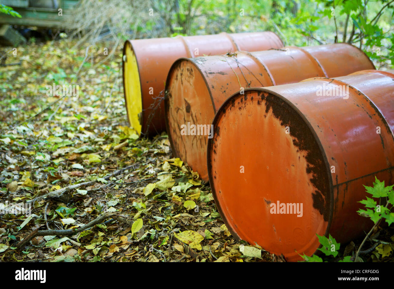 Rusty orange barrels laying in the woods at an abandoned farm Stock ...