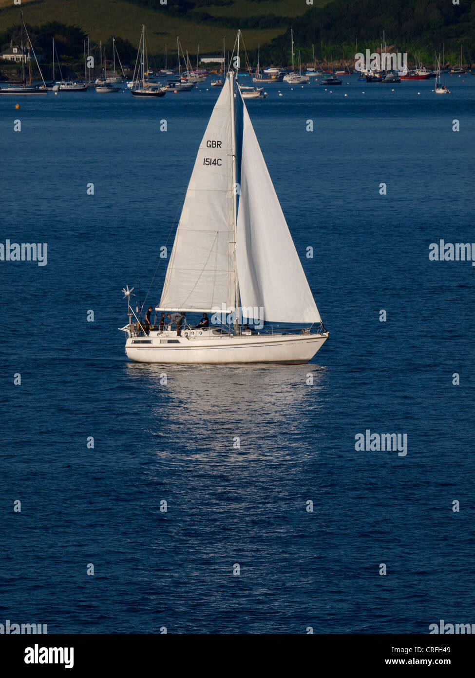 Yacht sailing up the Fal Estuary in the evening, Cornwall, UK Stock ...