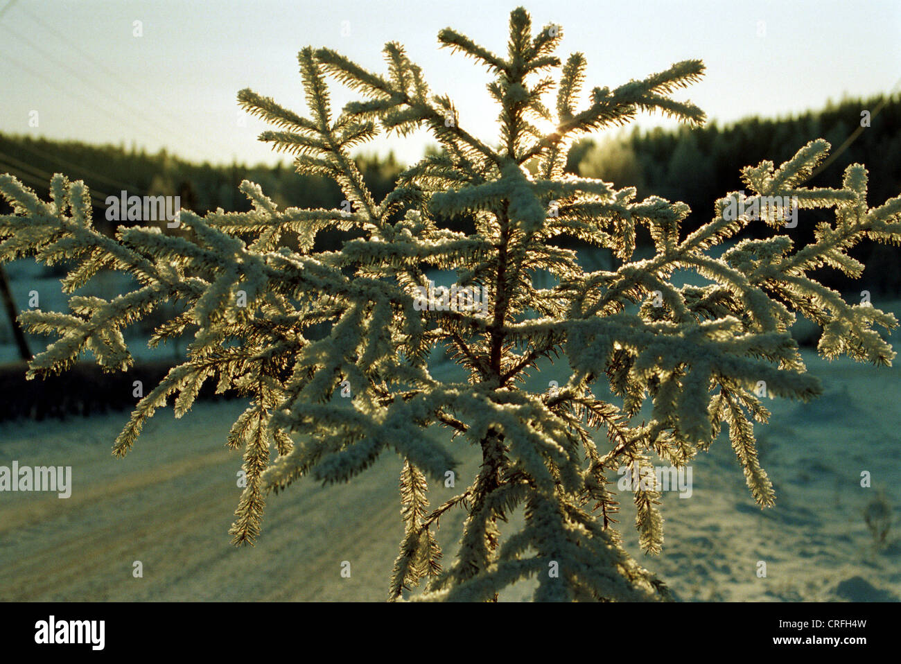 Finnish symbolism hi-res stock photography and images - Alamy