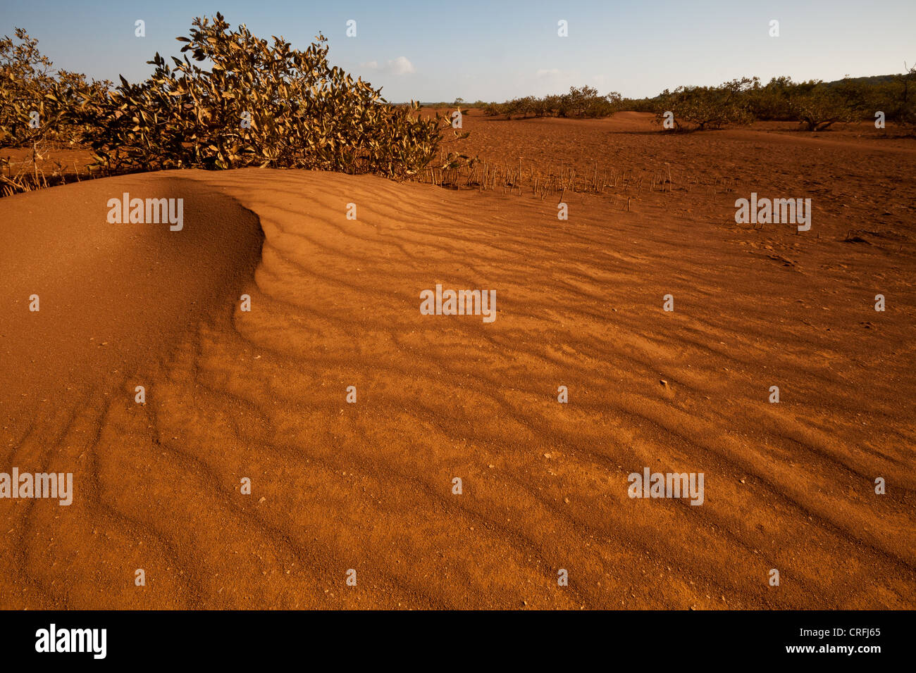 Sand dunes in Sarigua national park (desert), Herrera province ...