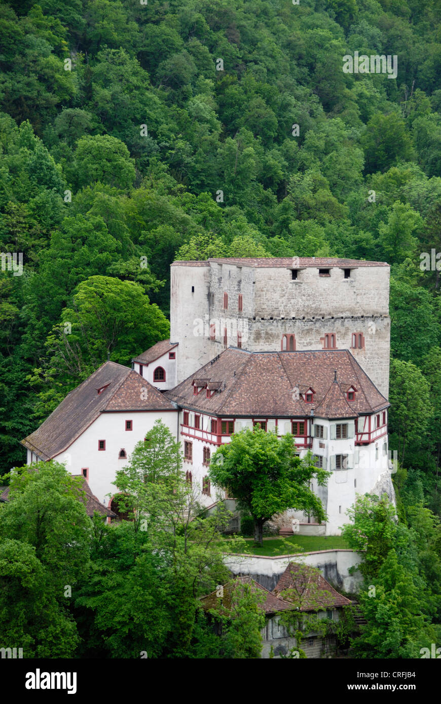 Angenstein Castle near Aesch, Basel-Stadt, Switzerland Stock Photo - Alamy