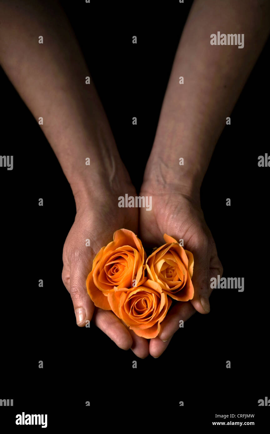 Hands Holding Flowers High Resolution Stock Photography and Images - Alamy