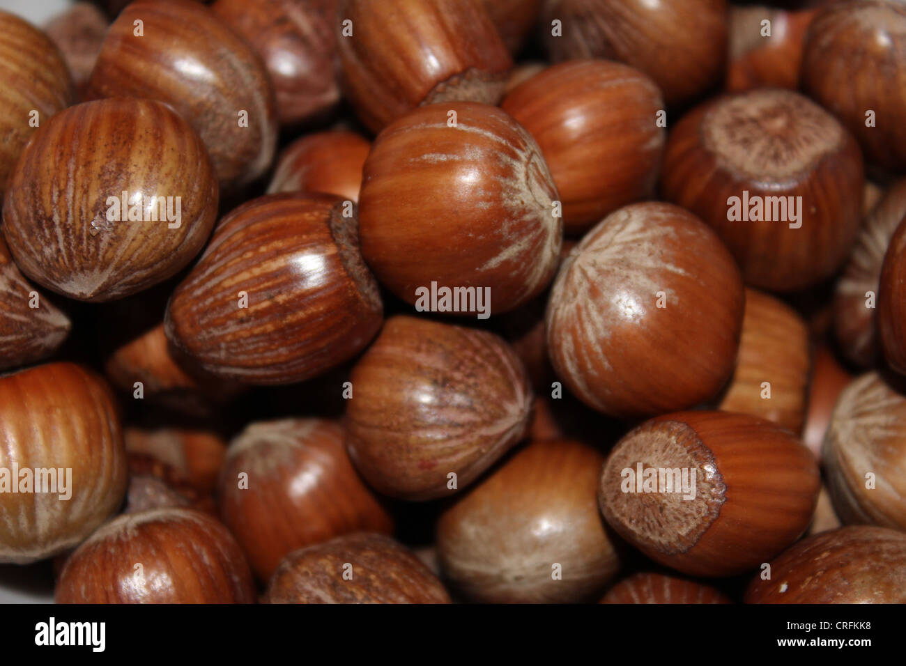 Hazelnut nuts hi-res stock photography and images - Alamy
