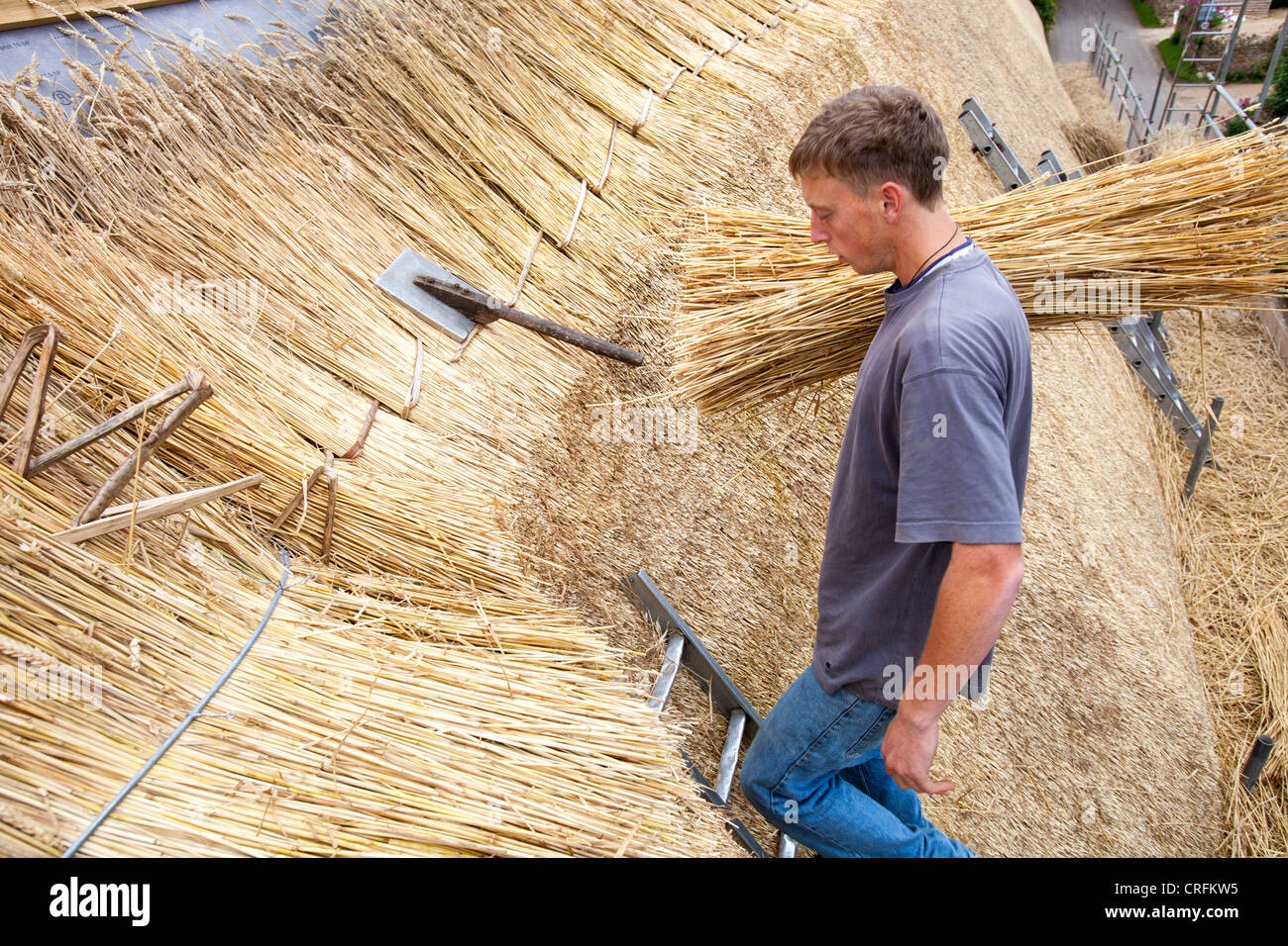 A skilled thatcher thatching a barn roof in Dorset, UK Stock Photo - Alamy