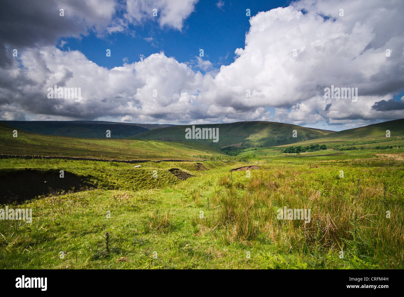 forest of bowland area of outstanding natural beauty Stock Photo - Alamy