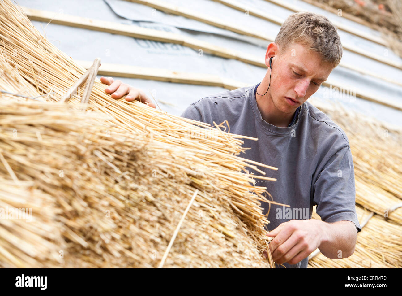A skilled thatcher thatching a barn roof in Dorset, UK Stock Photo - Alamy