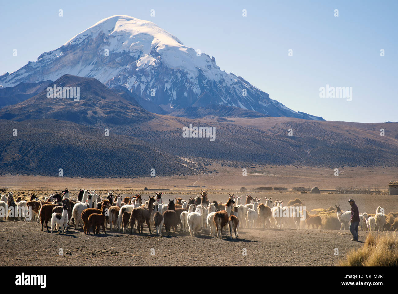 Volcano Sajama, highest peak in Bolivia, 6542 meters above sea level ...