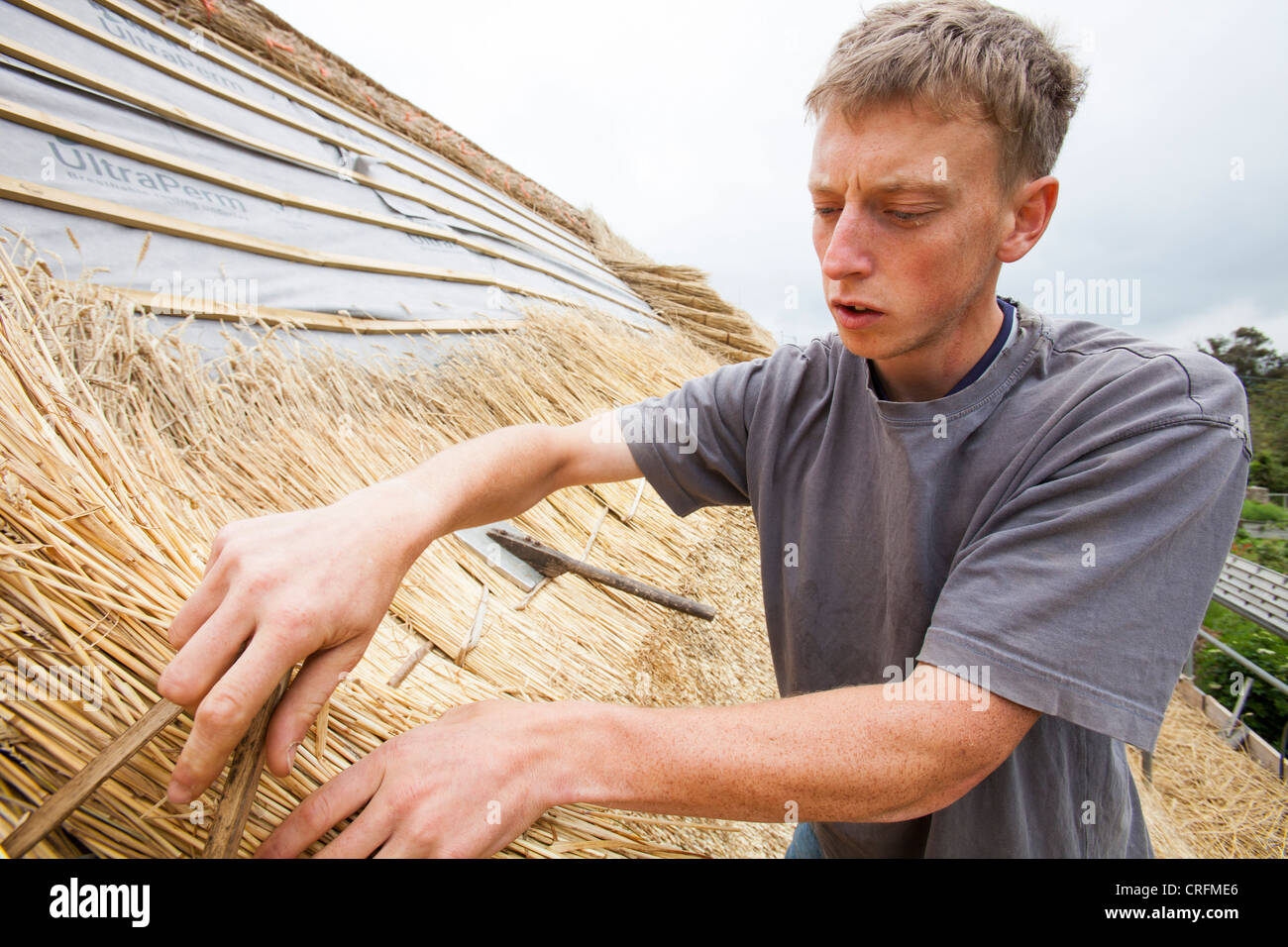 A skilled thatcher thatching a barn roof in Dorset, UK Stock Photo - Alamy
