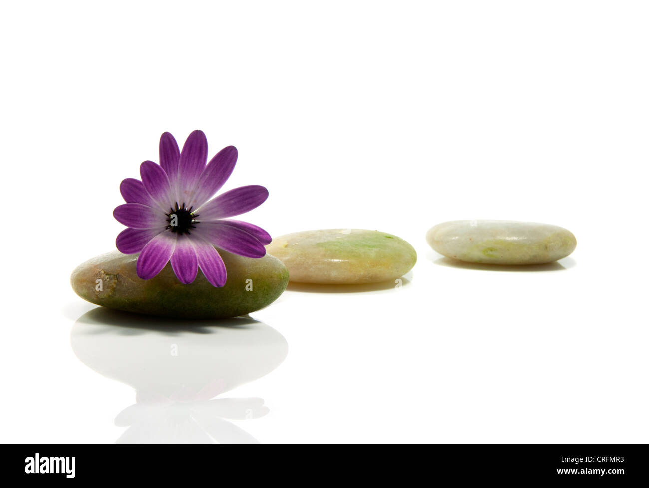 pink flower on top of tower from stones Stock Photo - Alamy