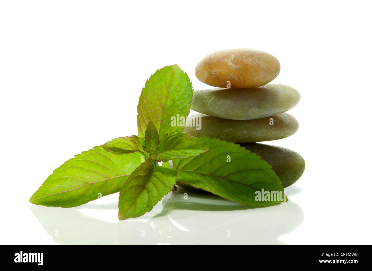 green mint and rocks as a tower in balance Stock Photo - Alamy