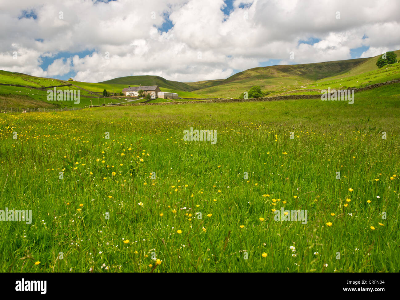 Bowland Fells High Resolution Stock Photography and Images - Alamy