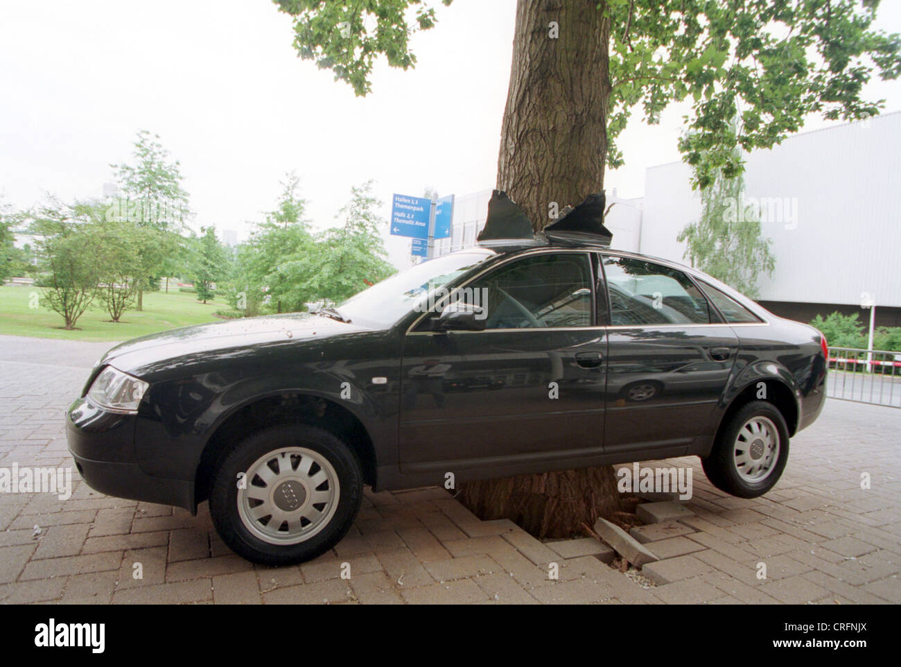 Hannover, Germany, Tree Car Stock Photo - Alamy