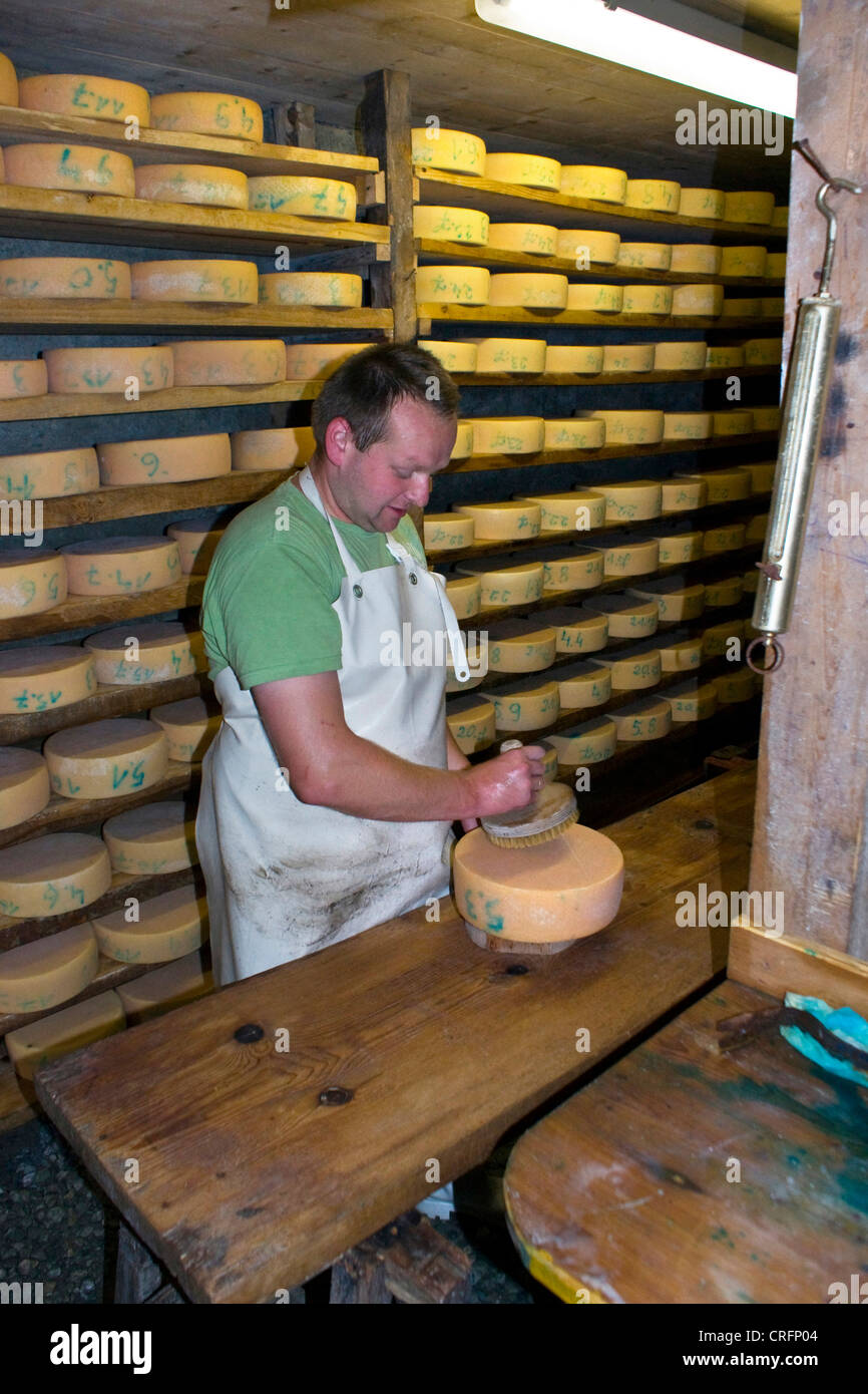 traditional cheese production: aging cheese wheels in storage racks and ...