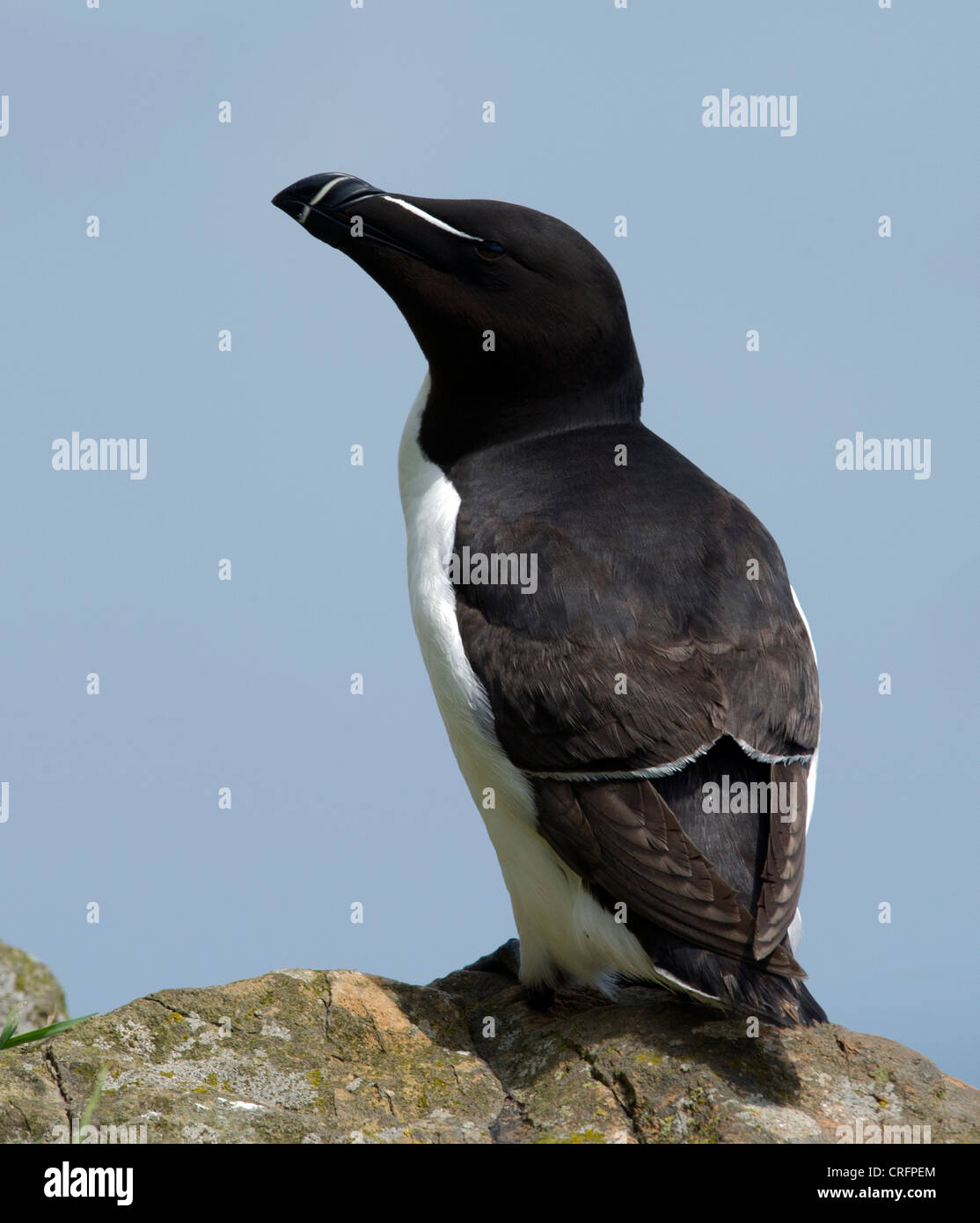 Razor sharp rocks hi-res stock photography and images - Alamy