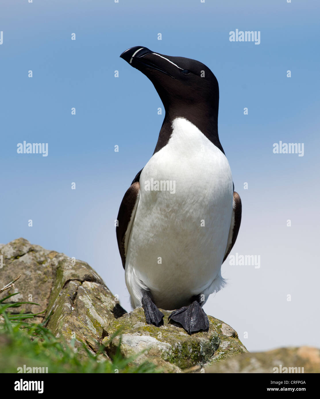 Razor Sharp Rocks High Resolution Stock Photography and Images - Alamy