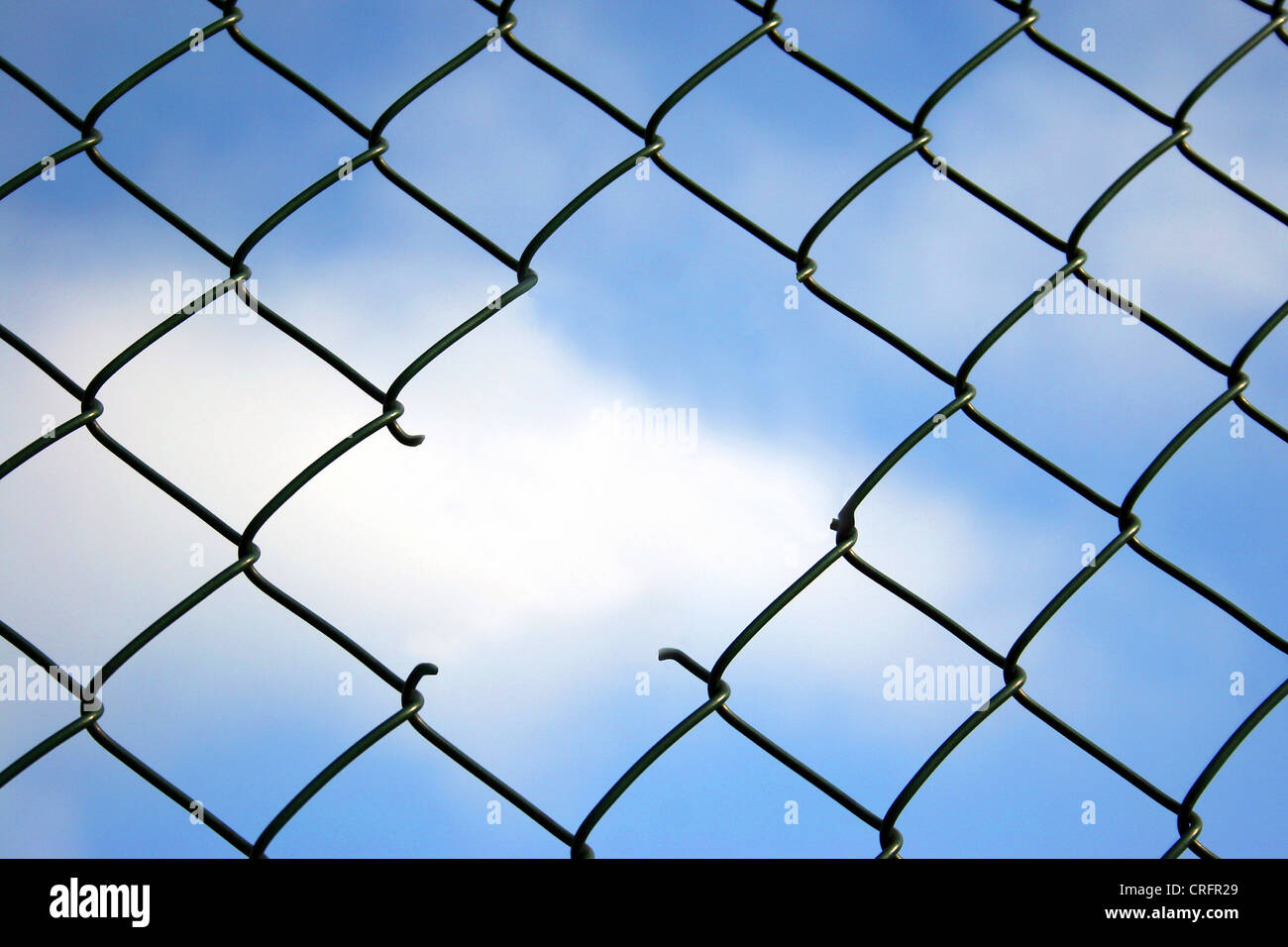 a hole in the wire mesh Stock Photo - Alamy