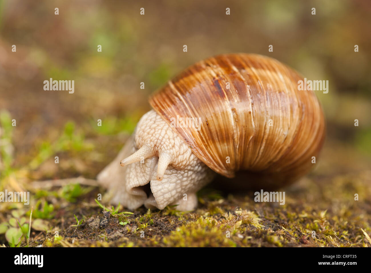 Soil conservation act hi-res stock photography and images - Alamy