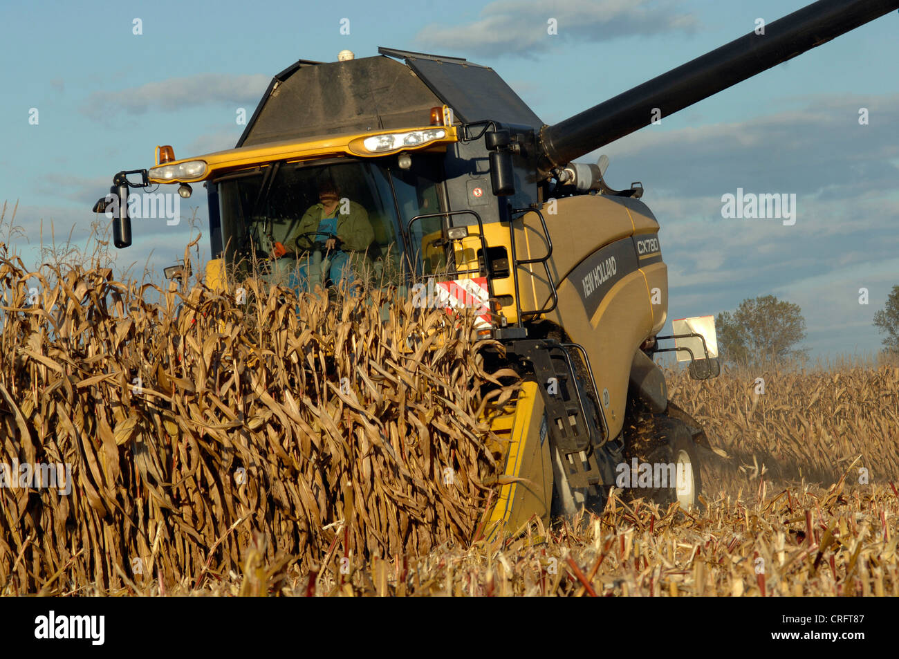 Combine harvester maize not wheat hi-res stock photography and images ...