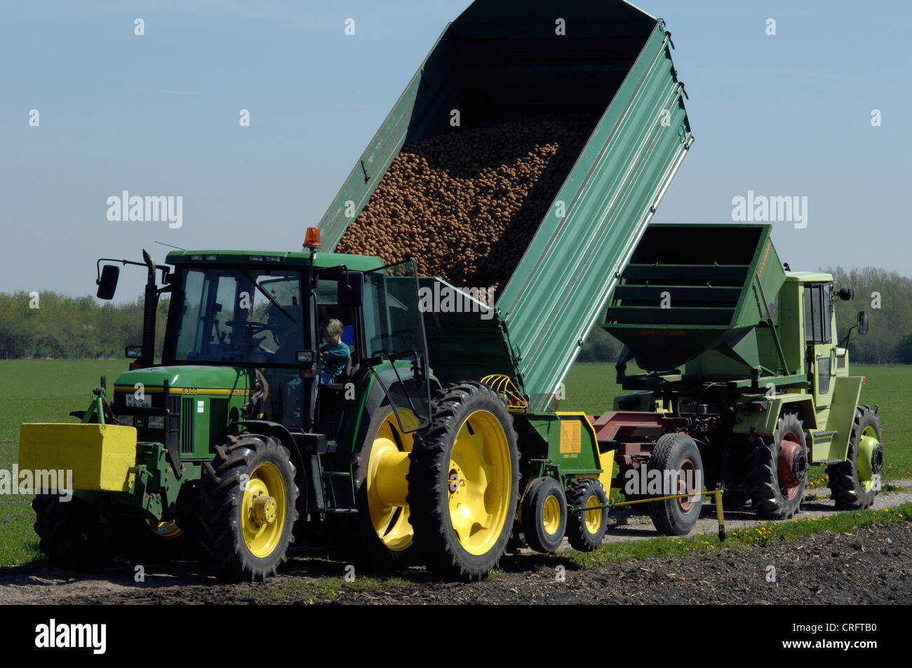 Farmers planting potato field hi-res stock photography and images - Alamy