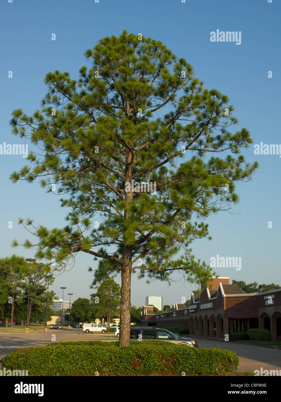 Strip mall parking lot hi-res stock photography and images - Alamy